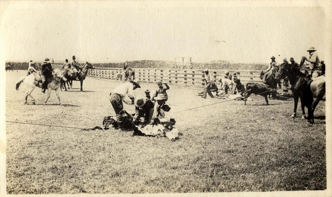 Sharing Values One Generation To The Next - Parker Ranch 1847 Grass Fed ...